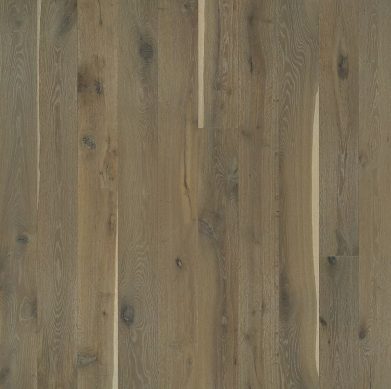 Luxury Velvet Carpet Flooring | Paradiso